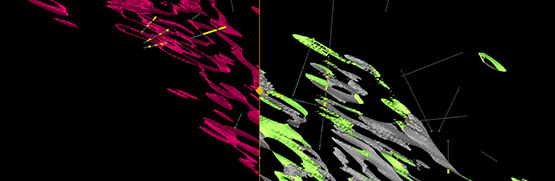 Maptek - Forge - March 2020