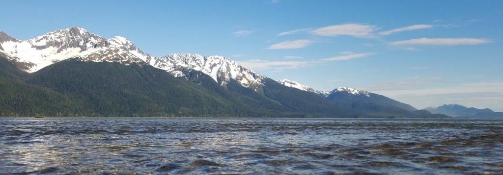 Maptek - Grade Estimation