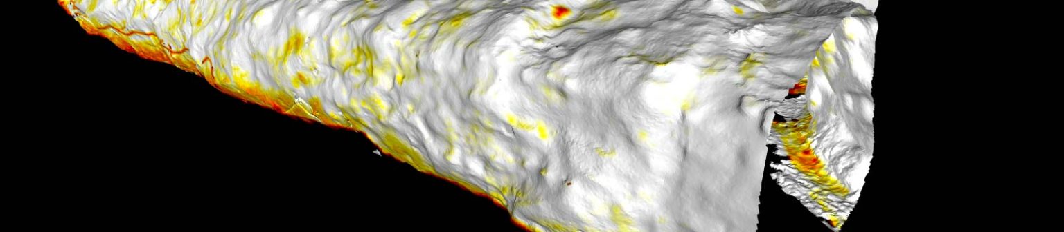 Maptek - Modelling & Evaluation